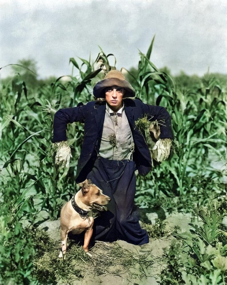 The Scarecrow, 1920 starring Buster Keaton - Public Domain Movies